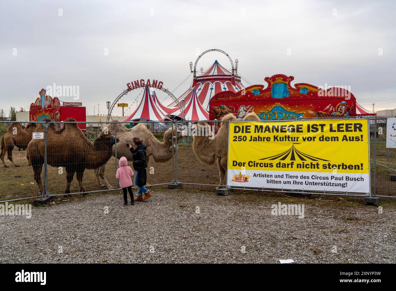 Circus Paul bush, shut down during the second corona lockdown, in ...