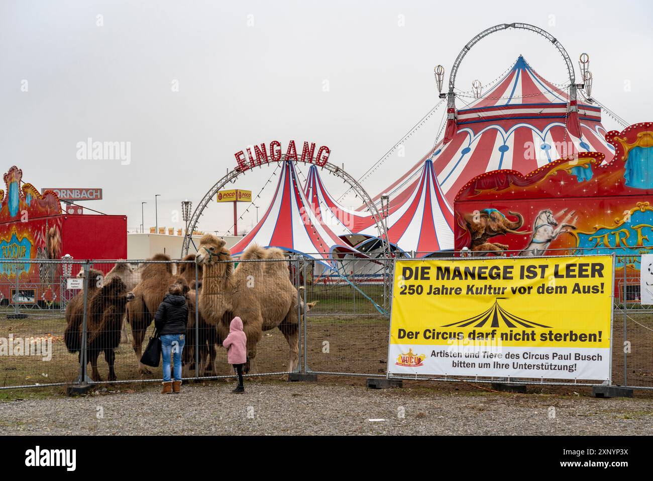 Circus Paul bush, shut down during the second corona lockdown, in ...