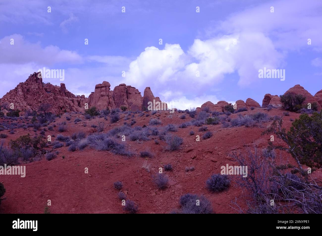 Photo of rock fins on Sand Dune Trail in Arches National Park located ...