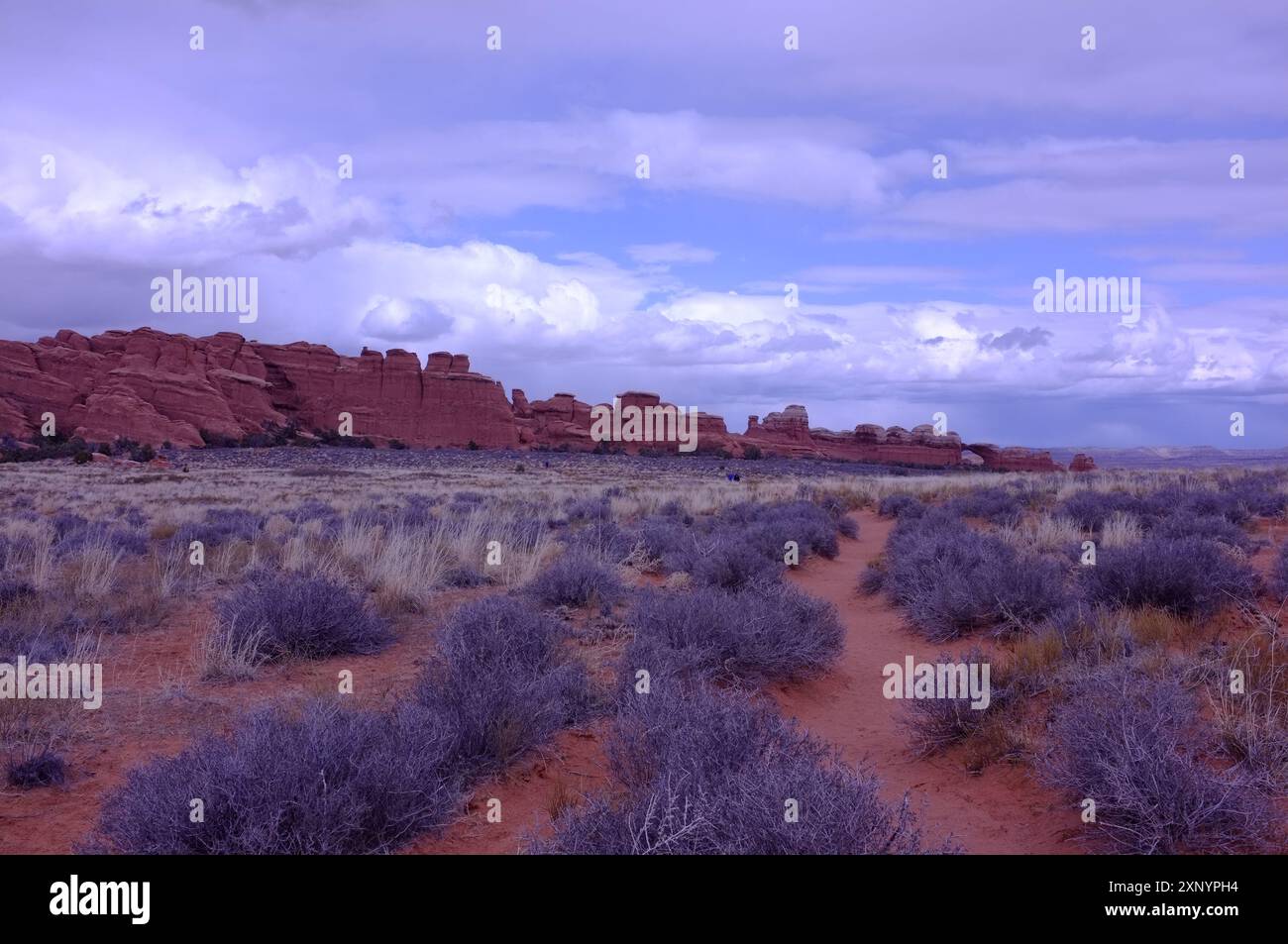 Photo of rock fins on Sand Dune Trail in Arches National Park located ...