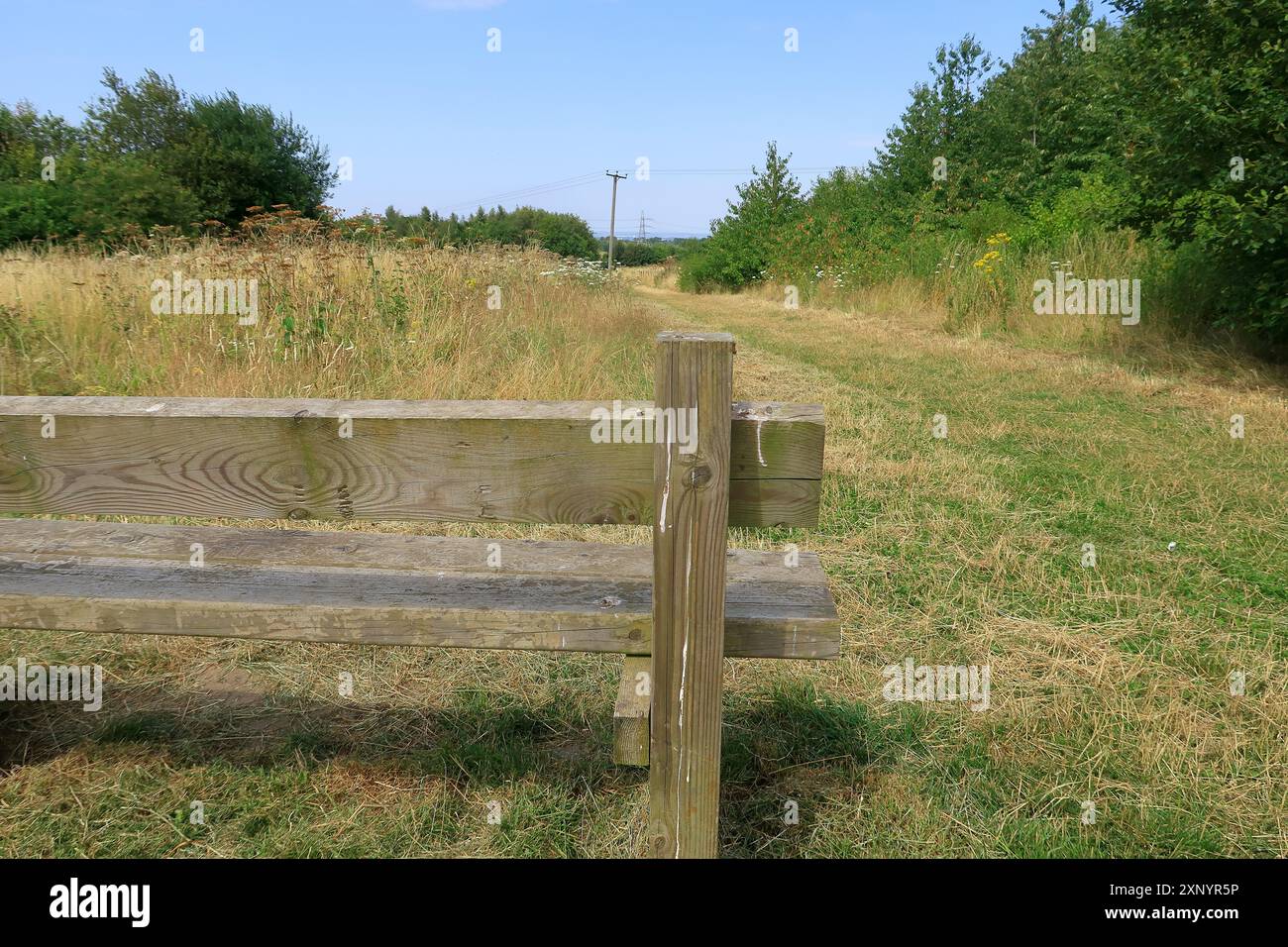 A wooden bench overlooking the North Kent countryside on a hot summers ...