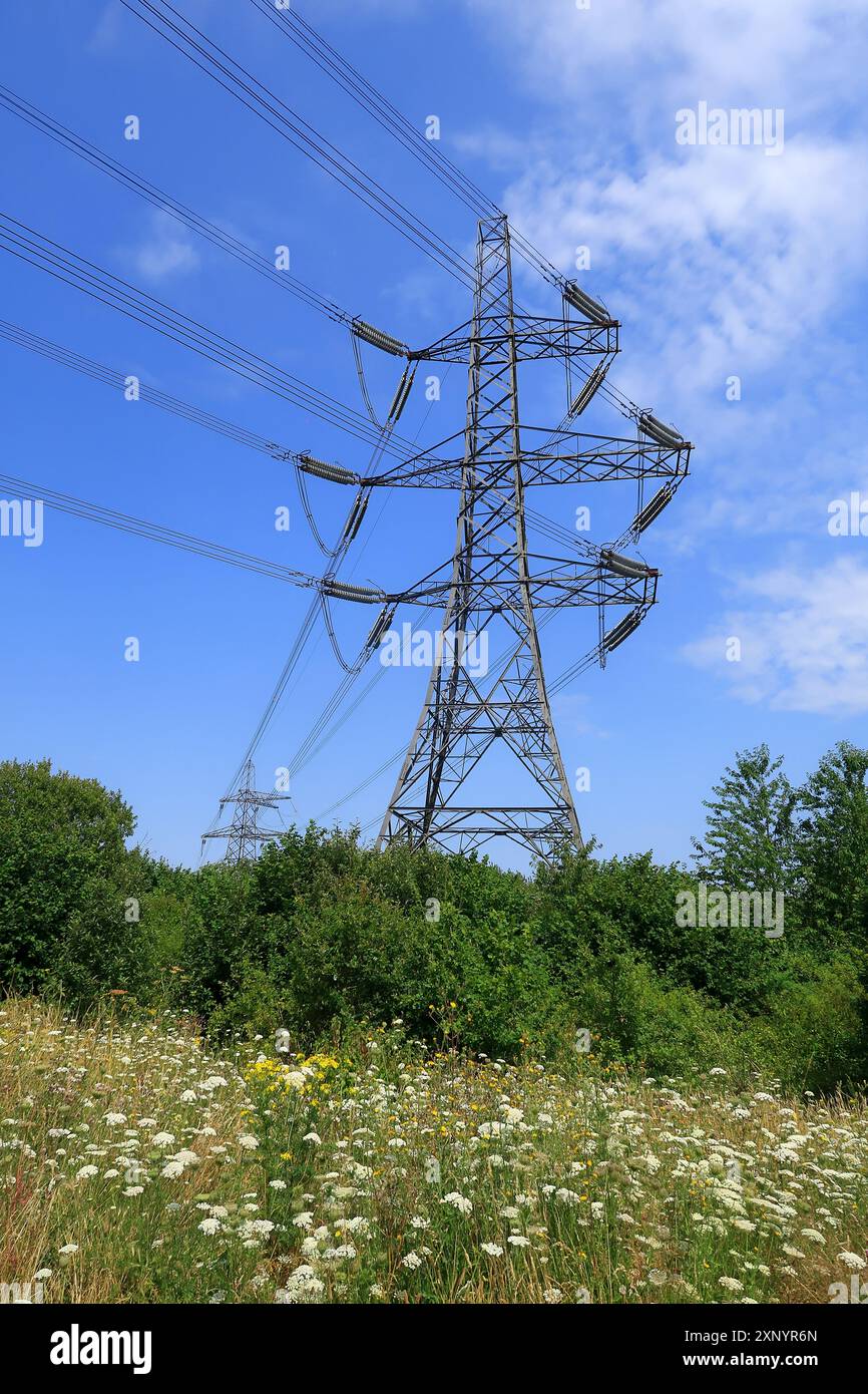 An electrical Pylon standing tall over the North Kent countryside Stock ...