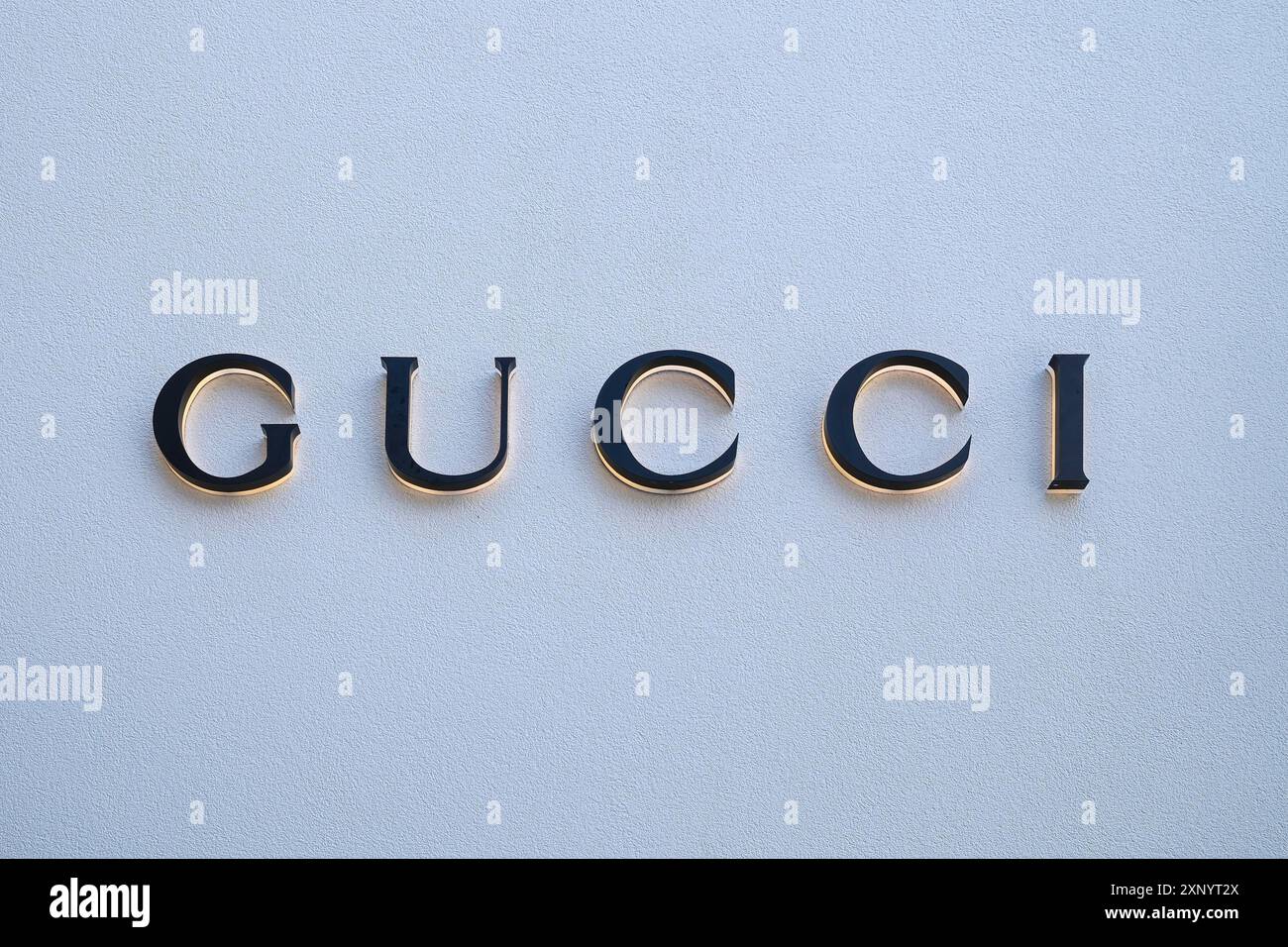 Gucci Brand Logo