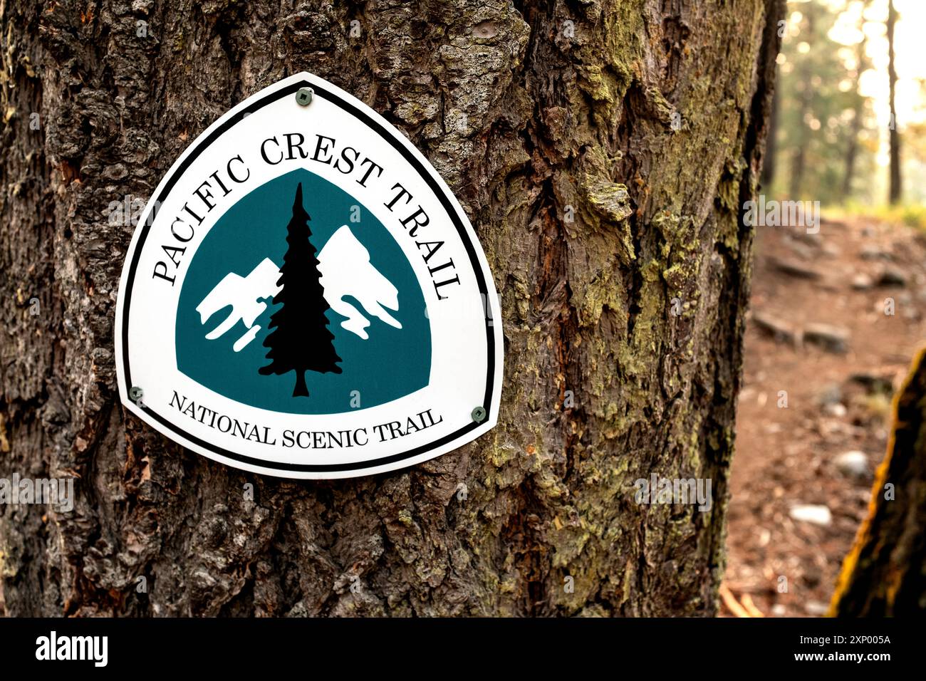 WA24983-00....WASHINGTON - Trail marker along the Pacific Crest Trail ...