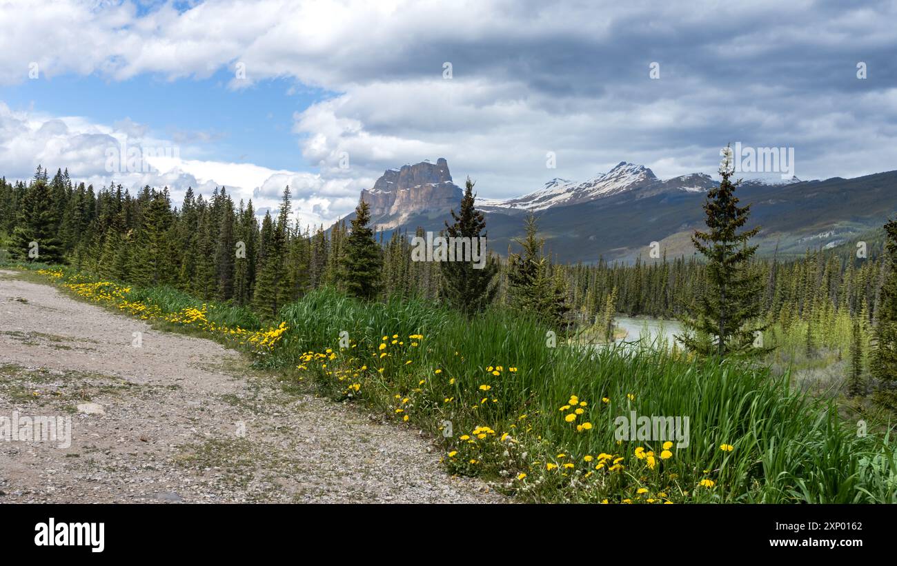 Bow river valley in summer season with Castle Mountain background ...