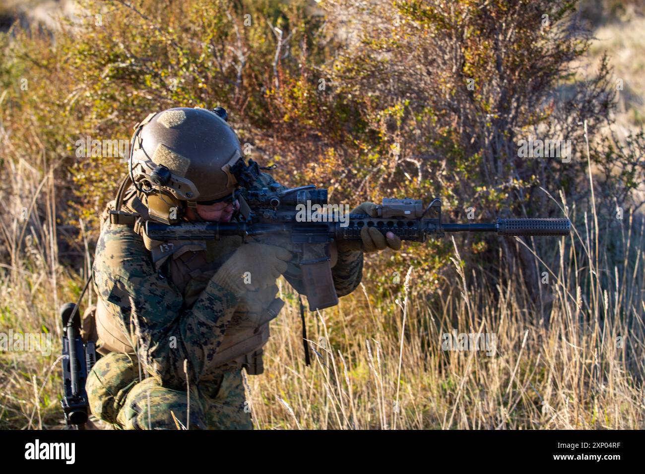 U.S. Marine Corps Lance Cpl. Angel Garcia a team leader with 2nd ...