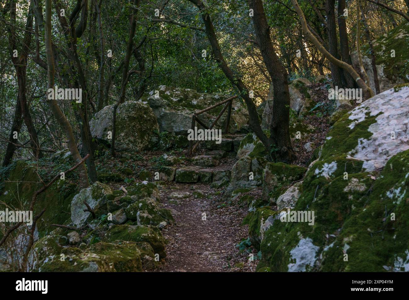 Hiking path through forest at the beautiful canyon of Oriented Nature ...
