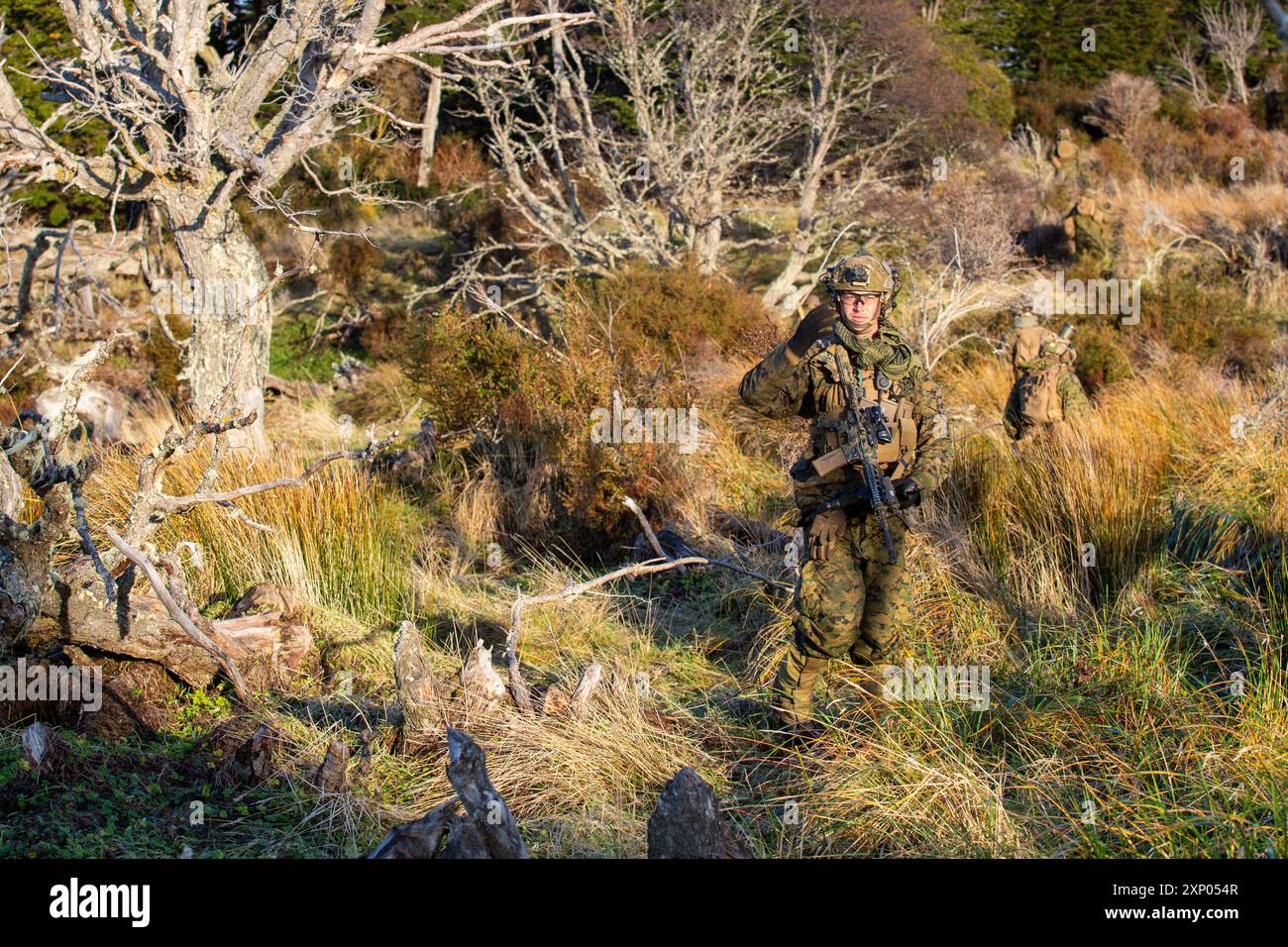 U.S. Marine Corps Sgt. Anthony Linn, a squad leader with 2nd Battalion ...