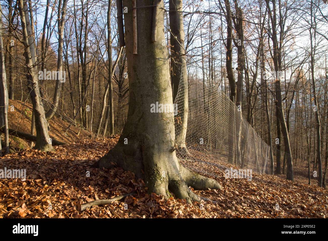 territory borders and national territory on this globe territory ...