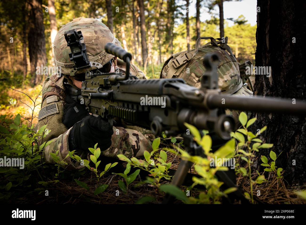 U.S. Army Soldiers from Active Duty, National Guard, and Reserve forces ...
