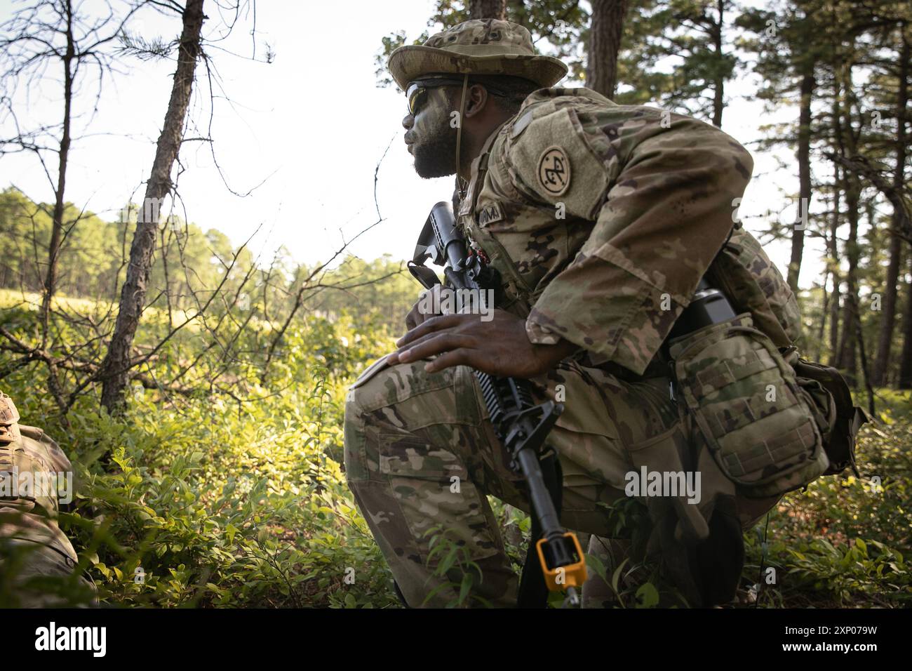 U.S. Army Soldiers from Active Duty, National Guard, and Reserve forces ...
