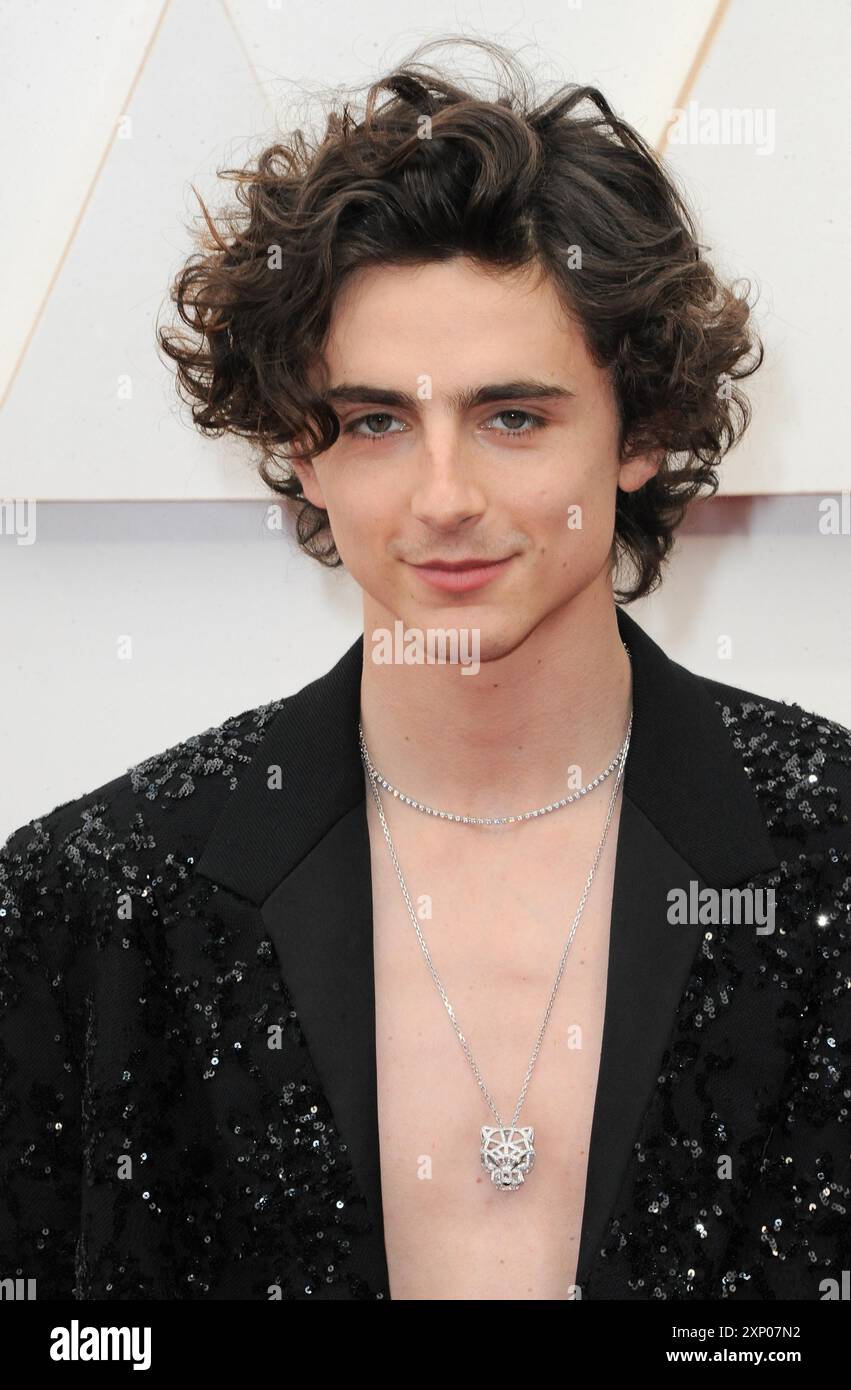 Timothee Chalamet at the 94th Annual Academy Awards held at the Dolby ...