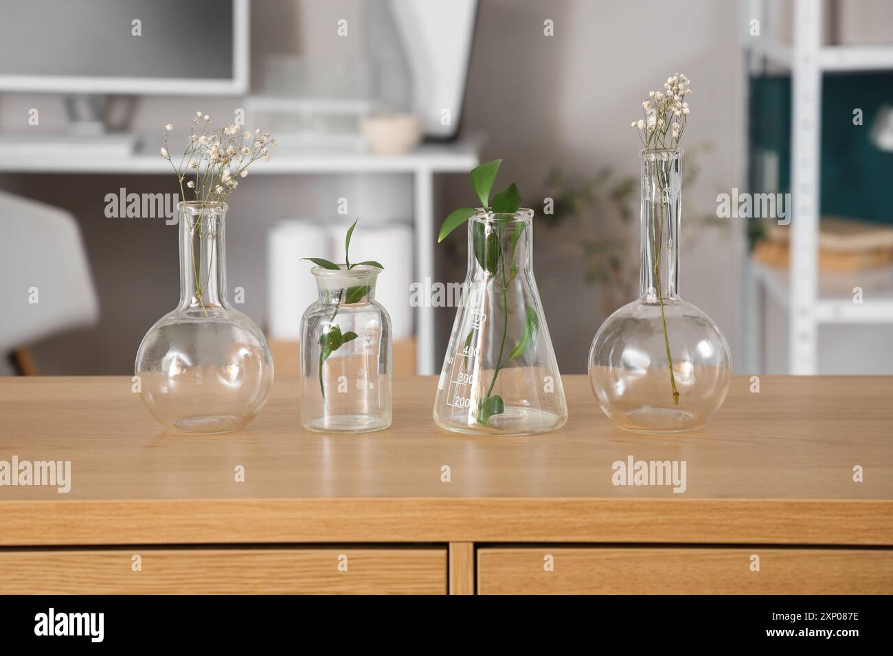 Lab flasks with green leaves and flowers on table in modern laboratory ...