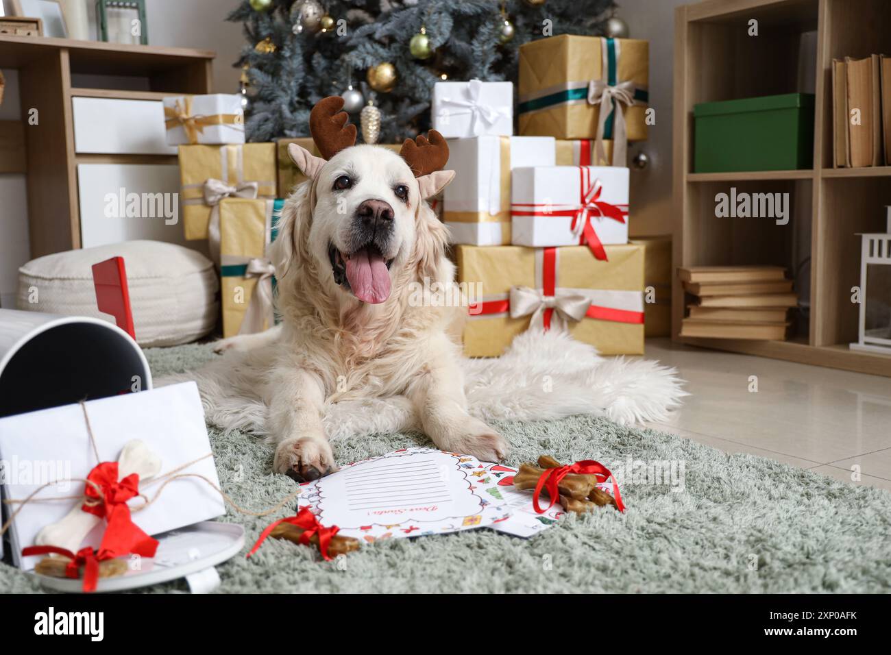 Cute Labrador dog in reindeer horns with letters to Santa and mailbox ...