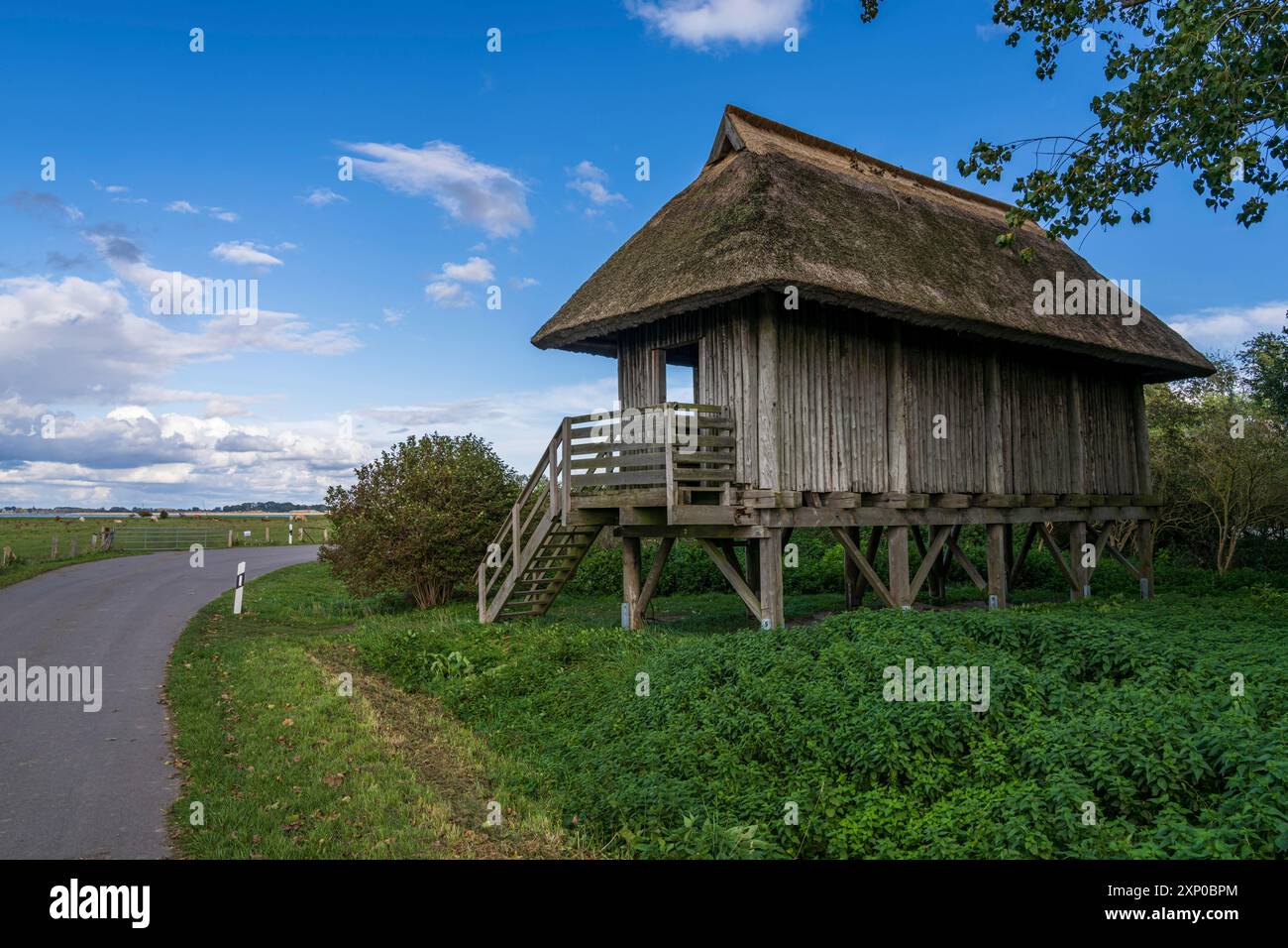 Birdwatching hut hi-res stock photography and images - Alamy