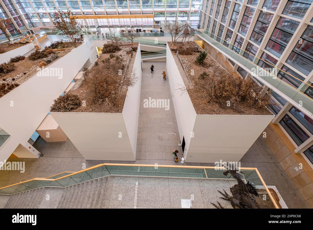 Museo de la evolucion humana, MEH, Burgos, Spain Stock Photo - Alamy