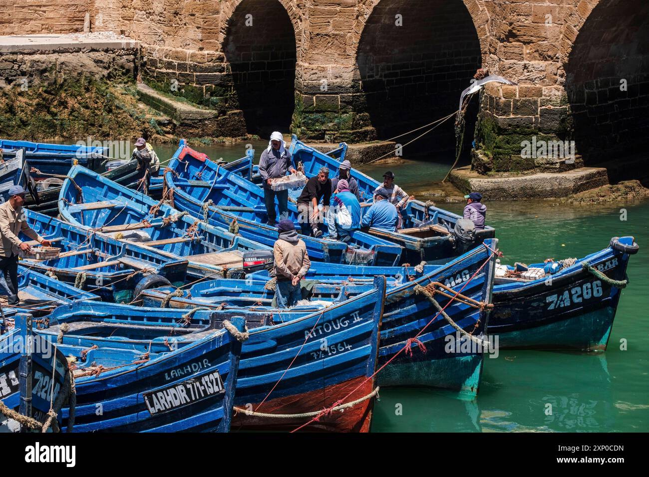Classic Moroccan fishing boats, fishing port, Essaouira, morocco Stock ...