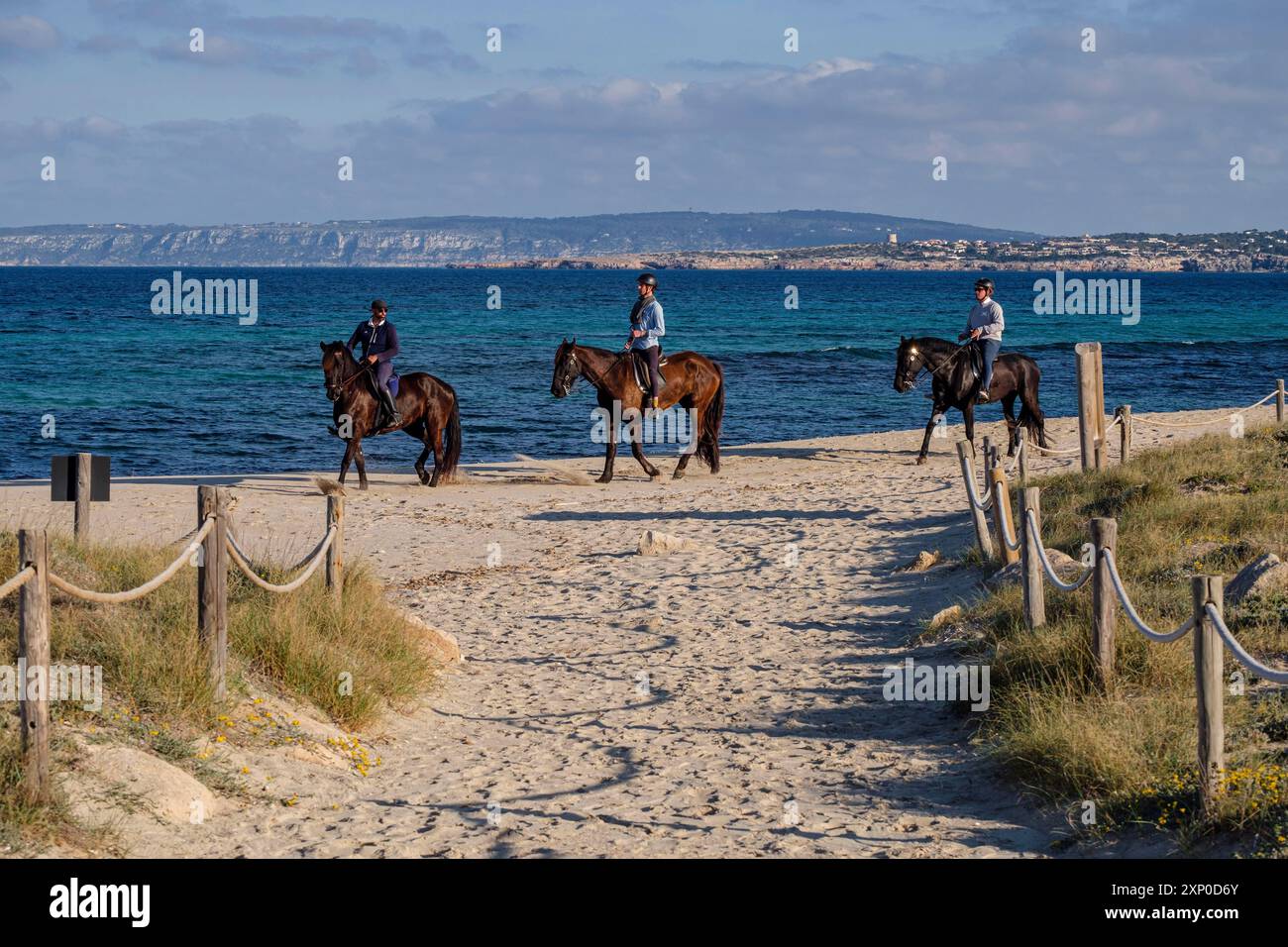 Llevant beach, riding a horse, Formentera, Pitiusas Islands, Balearic ...