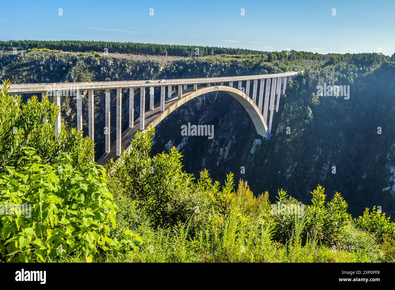 Bloukrans bunjee jumping bridge is an arch bridge located near Nature's ...