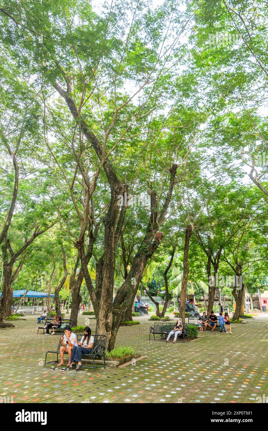 Tall trees dominate People's Park, a popular park in Davao City ...