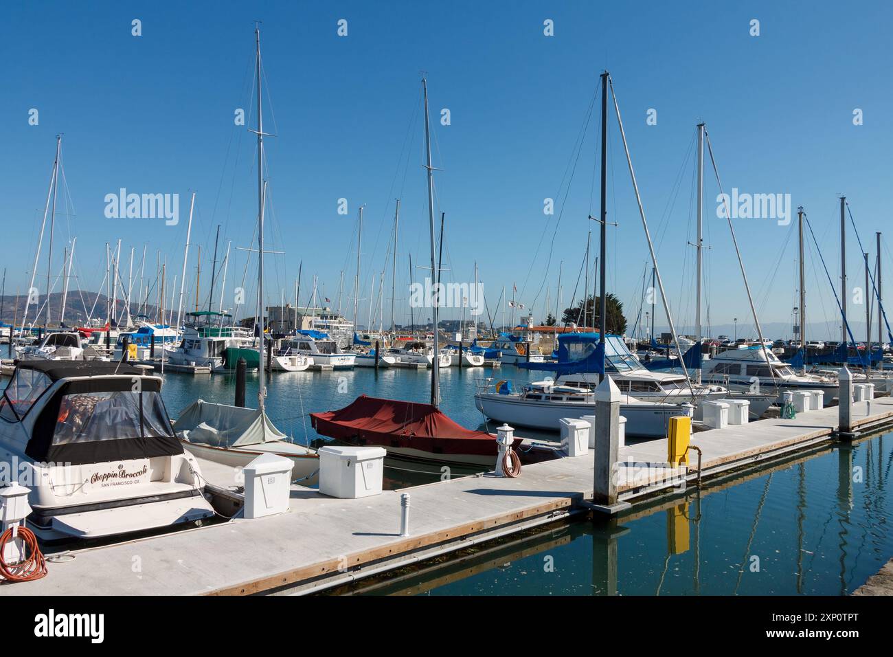 Marina with Luxury Sailboats in San Francisco California Stock Photo ...
