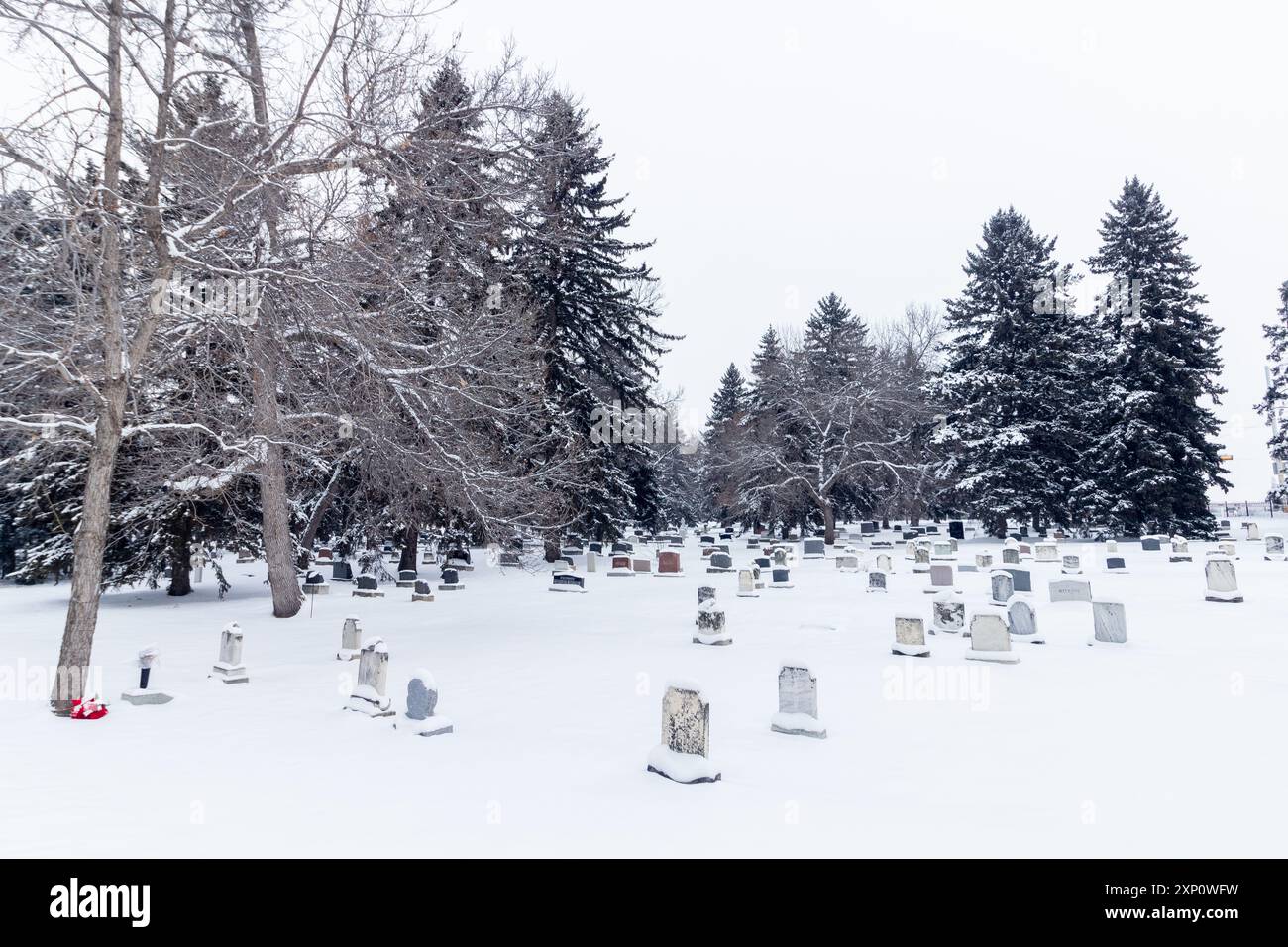 Winter landscape at the Saint Joachim Catholic Cemetery in Edmonton ...