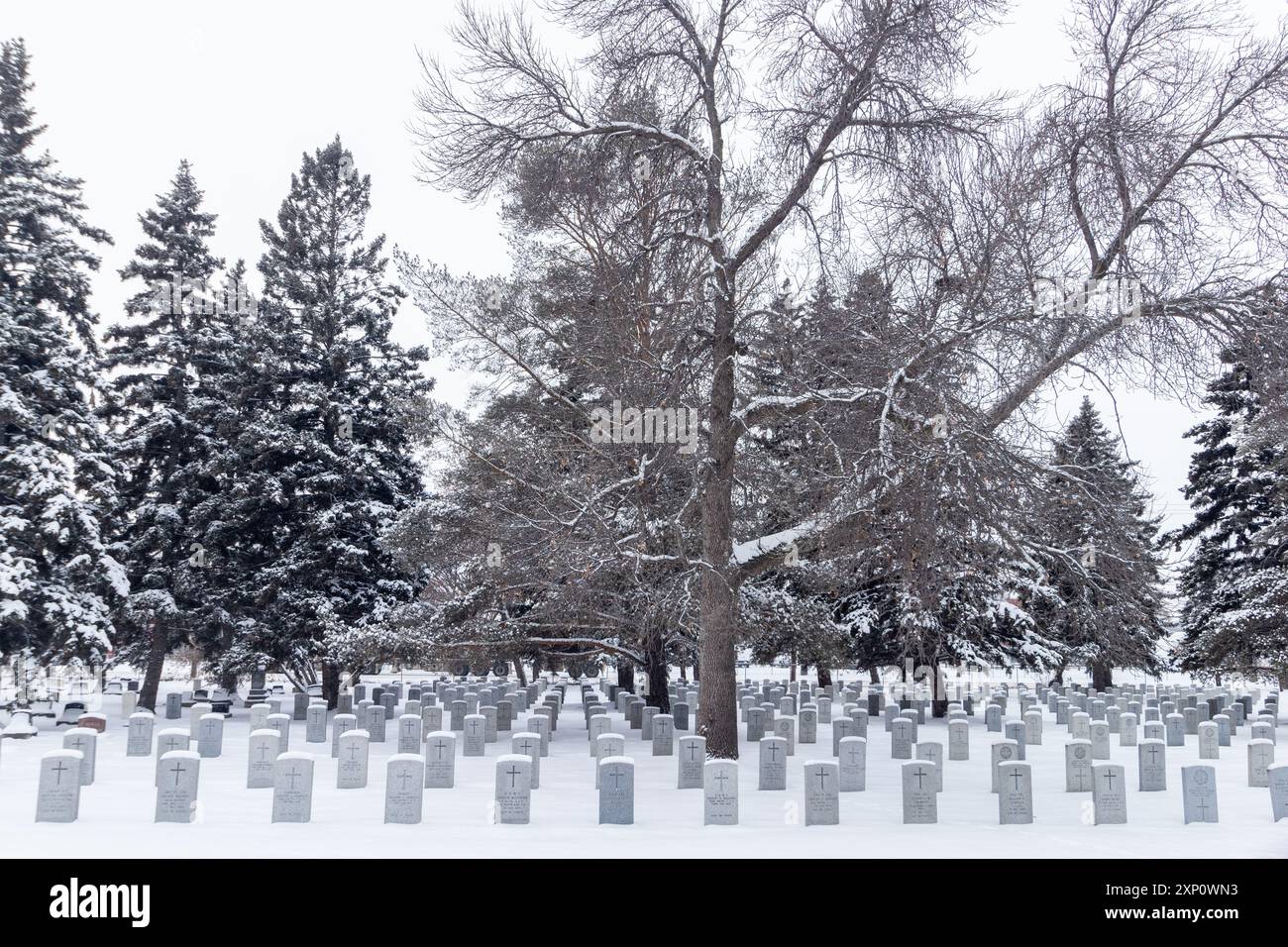 Winter landscape at the Saint Joachim Catholic Cemetery in Edmonton ...