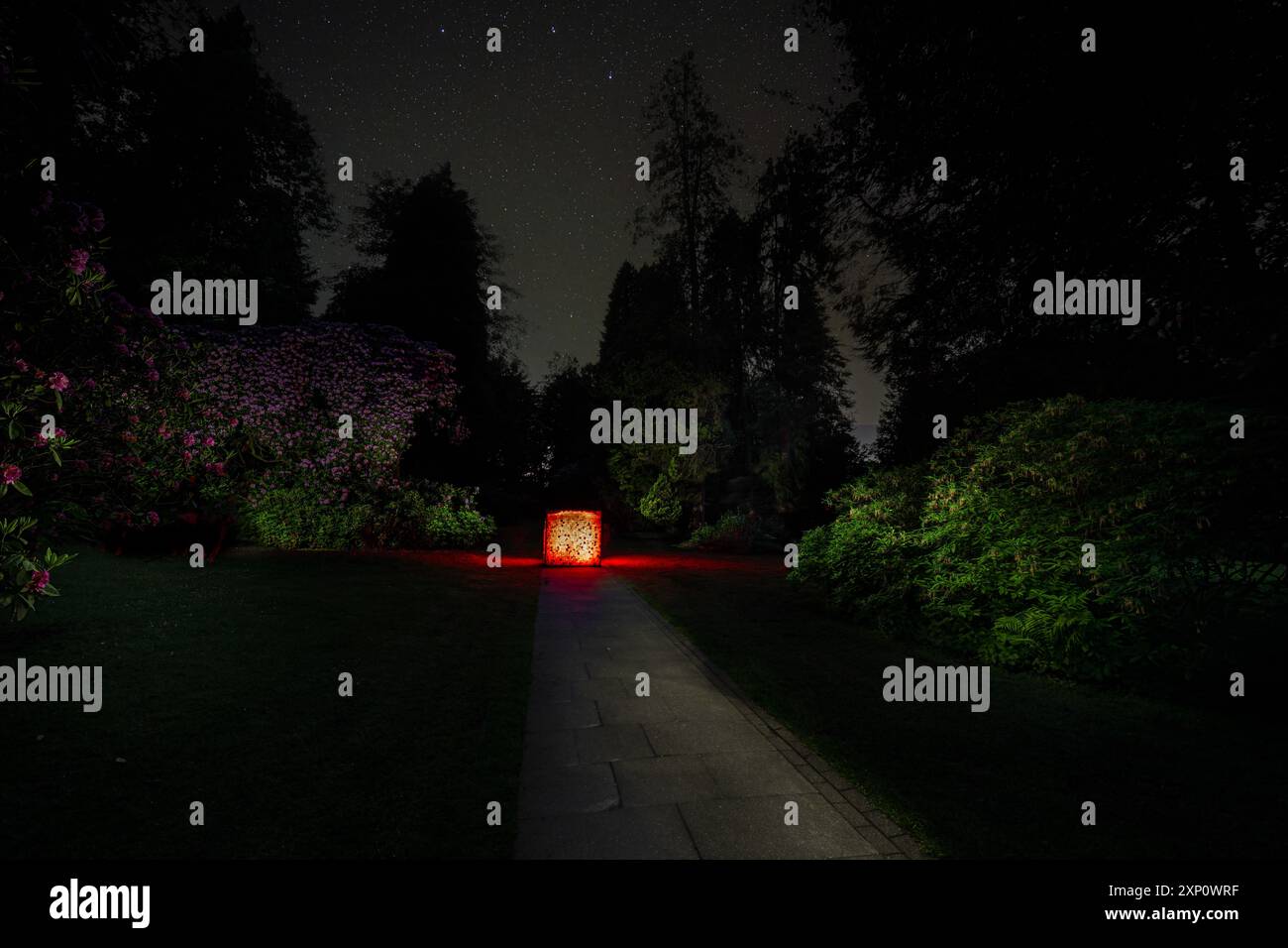 Red Lights at Night on a Cemetery in Germany Stock Photo - Alamy