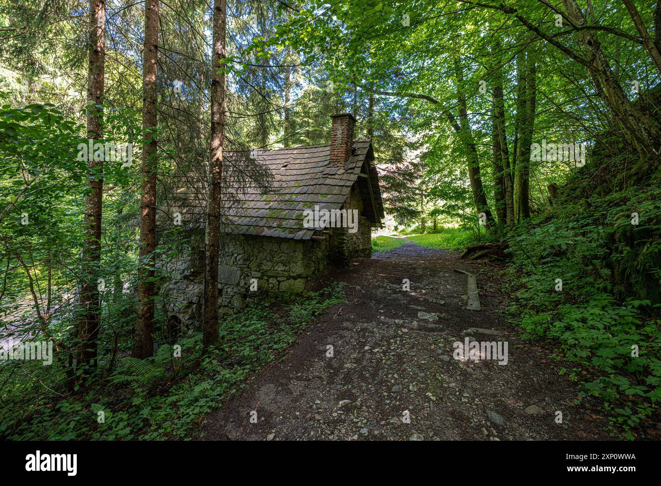 Old Mill in an Austrian Forest Stock Photo - Alamy