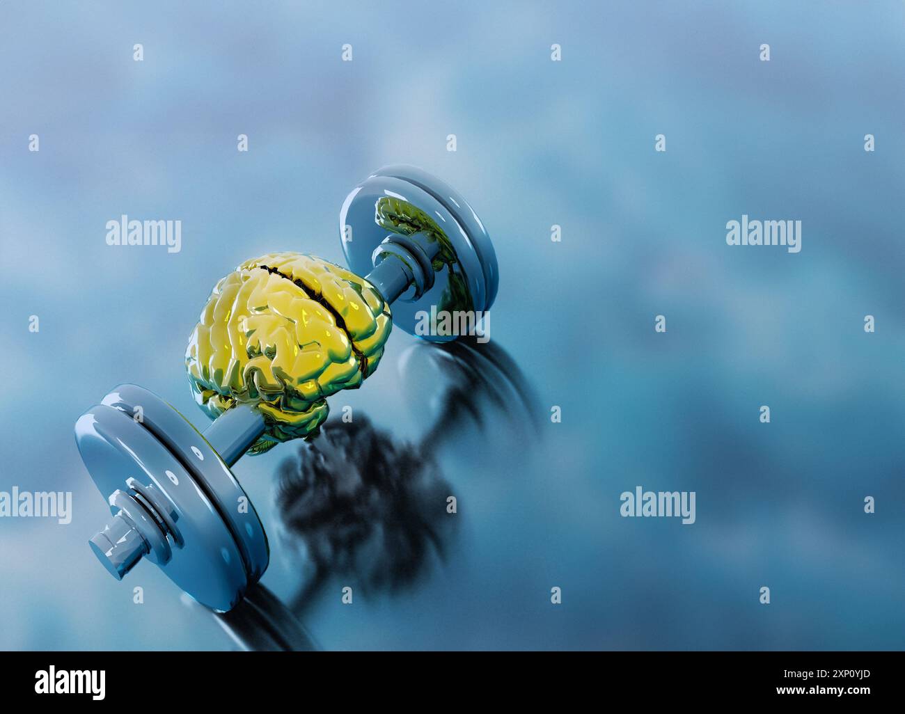 Brain training, conceptual illustration Stock Photo - Alamy