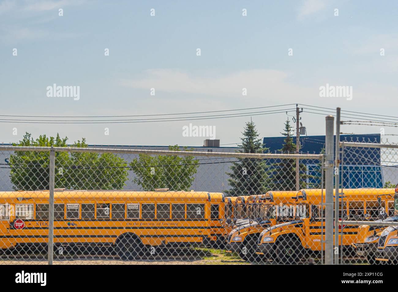2 August 2024 - Calgary Alberta Canada - Yellow School Buses in Parking ...