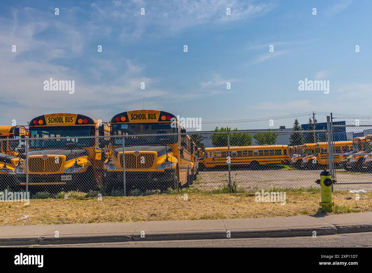 2 August 2024 - Calgary Alberta Canada - Yellow School Buses in Parking ...