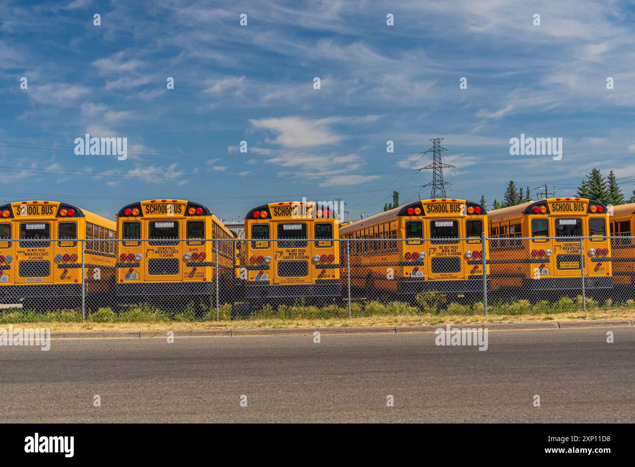 2 August 2024 - Calgary Alberta Canada - Yellow School Buses in Parking ...