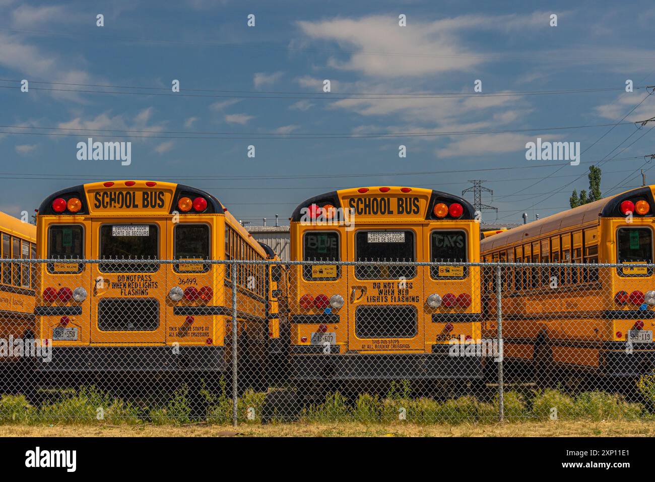 2 August 2024 - Calgary Alberta Canada - Yellow School Buses in Parking ...