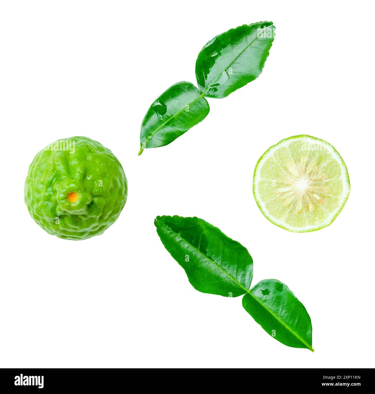 Top view set of fresh green bergamot fruit with half and green leaves ...