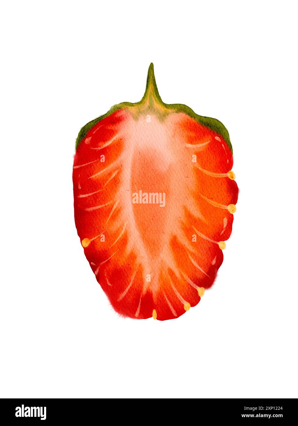 Lively representation of ripe strawberry slice, highlighting details ...