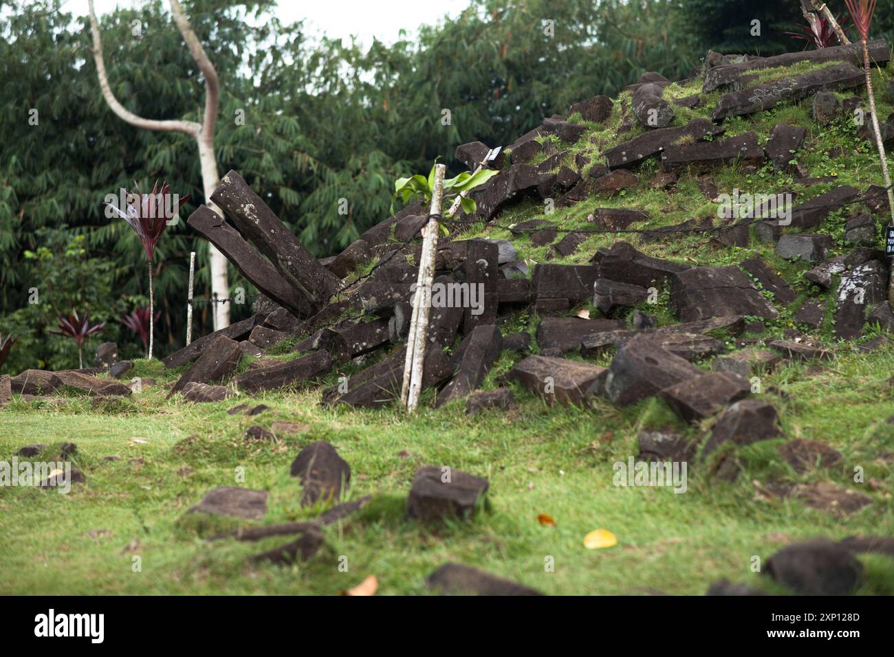 Grass grows in the area of megalithic sites, Gunung Padang, Cianjur ...