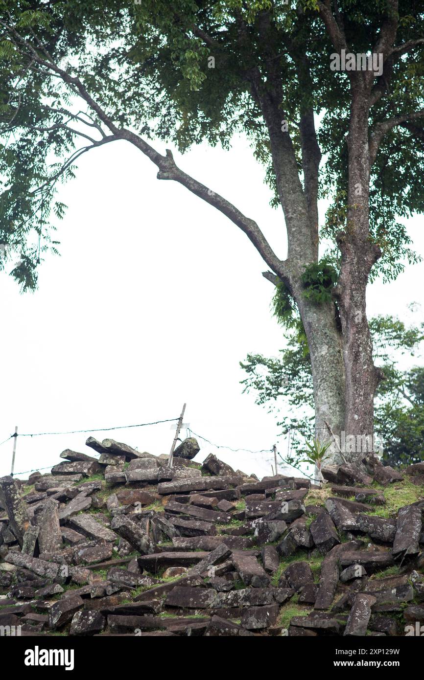 Trees grow on megalithic site, Gunung Padang, Cianjur, West Java ...