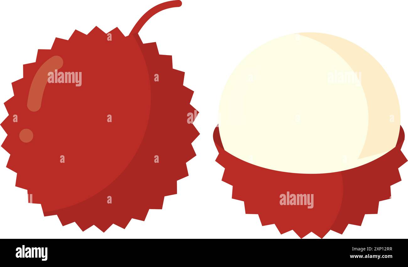 Lychee chinensis Stock Vector Images - Alamy