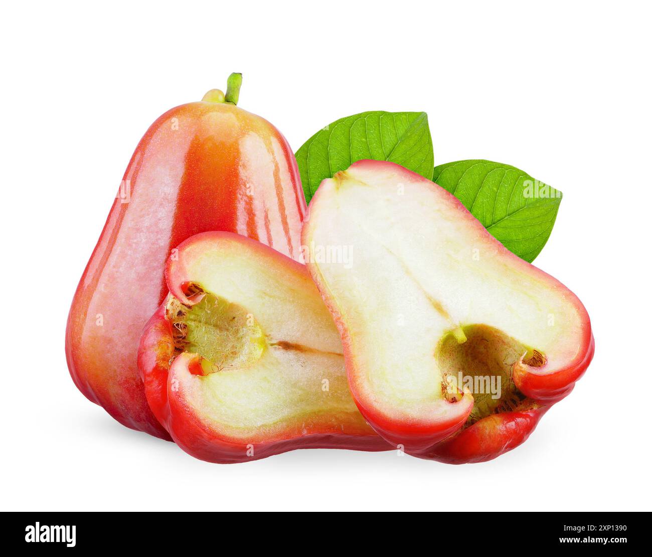 rose apple fruit isolated on white background. rose apple clipping path ...