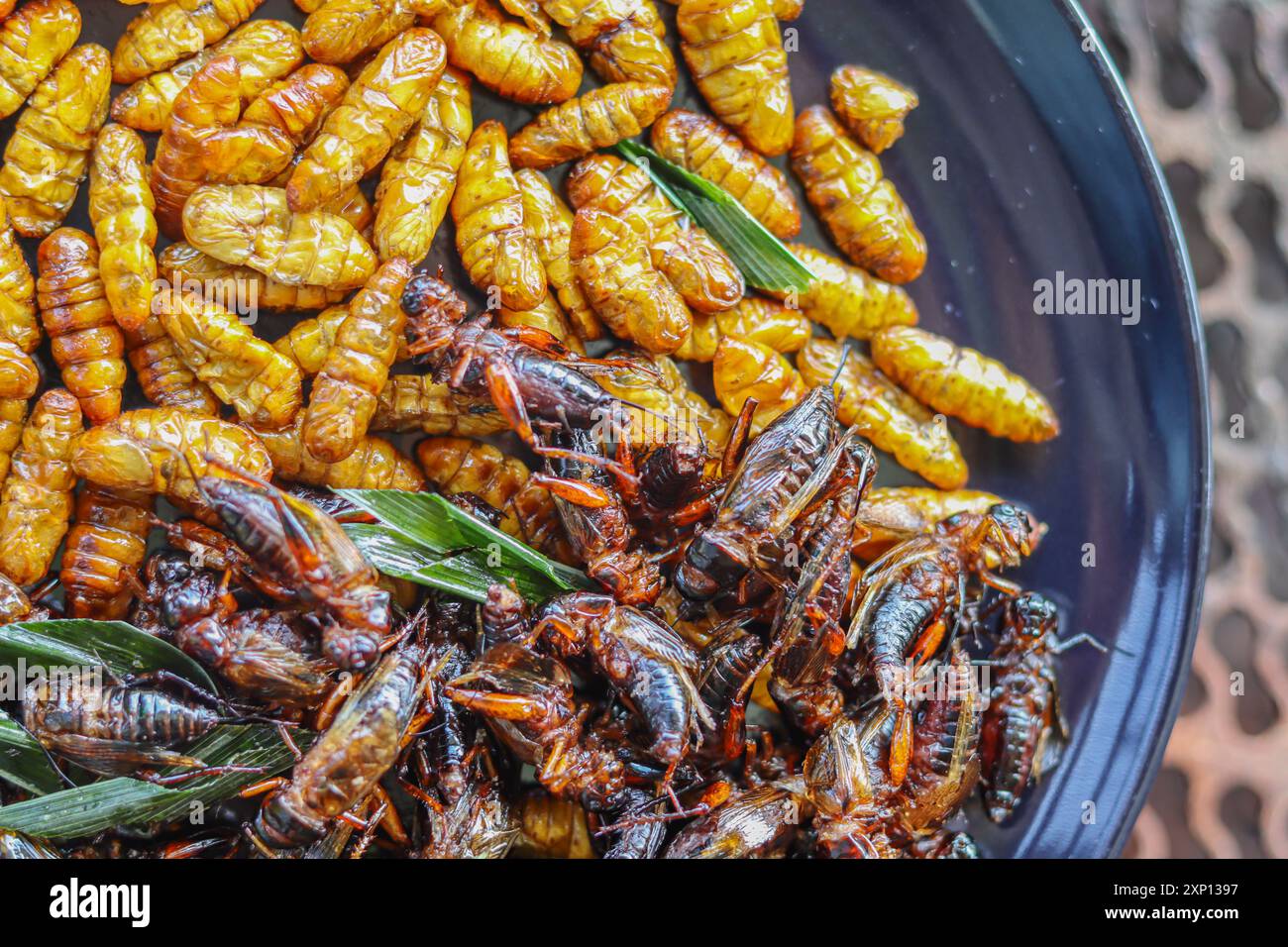 Crispy insects are served in black ceramic plates placed on tables made ...