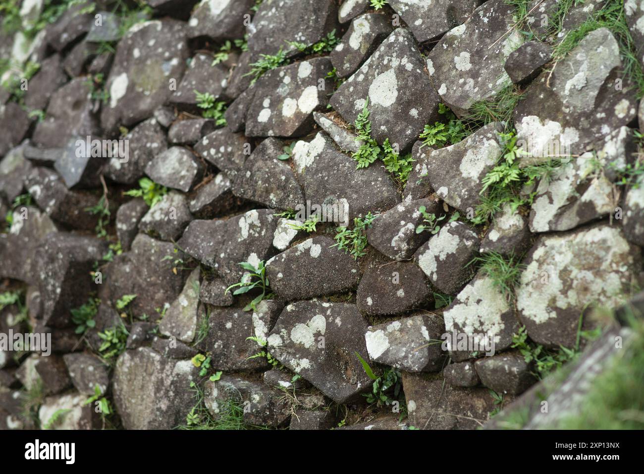 Megalithic pattern hi-res stock photography and images - Alamy