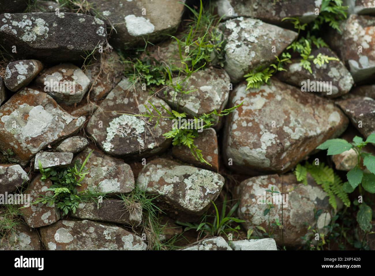 Andesite column hi-res stock photography and images - Alamy