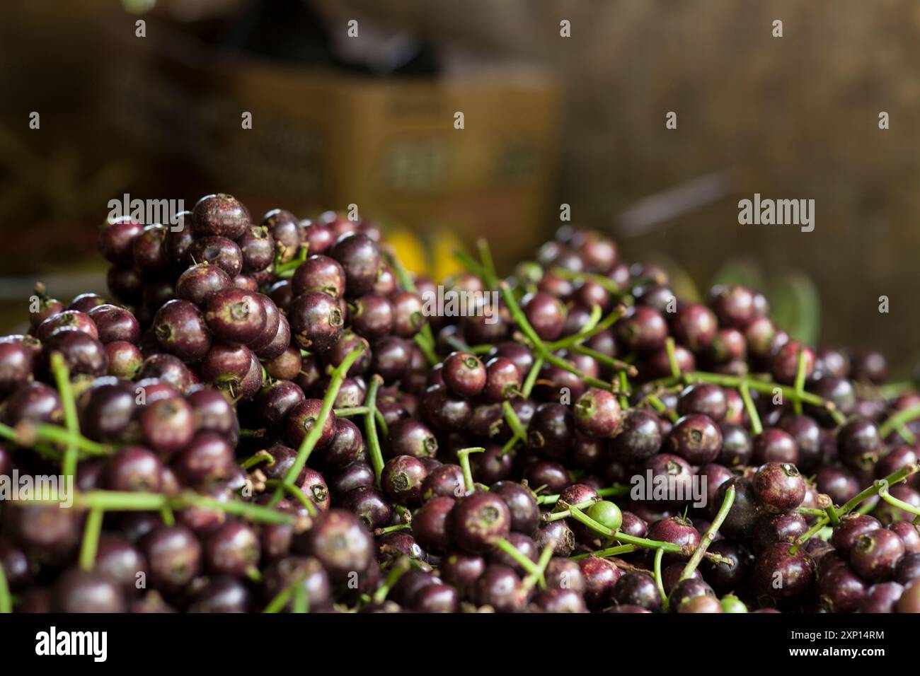 kupa traditional fruit from indonesia in traditional market Stock Photo ...