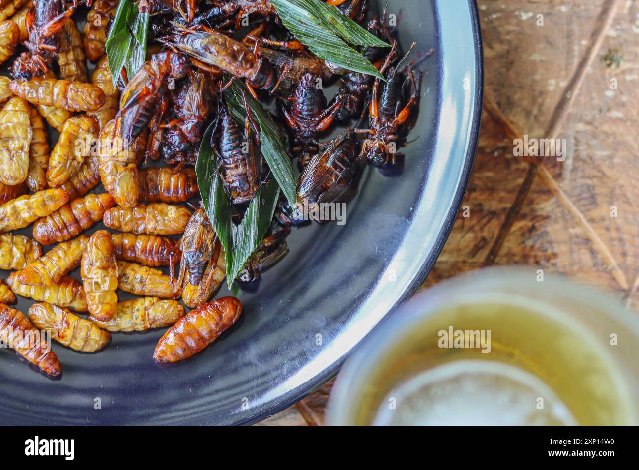 Crispy insects are served in black ceramic plates placed on tables made ...