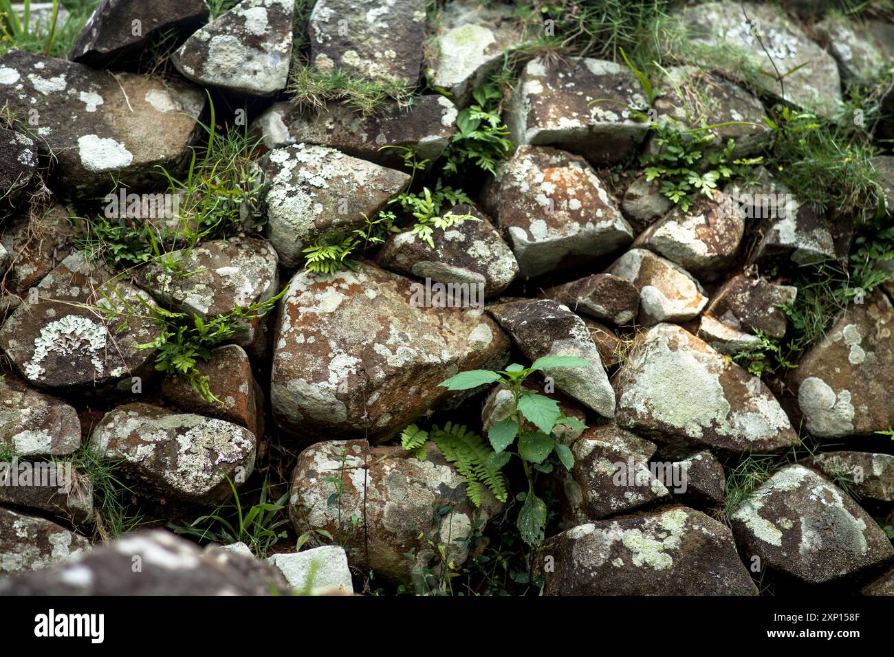 The arrangement of stone overgrown with grass megalithic site area ...