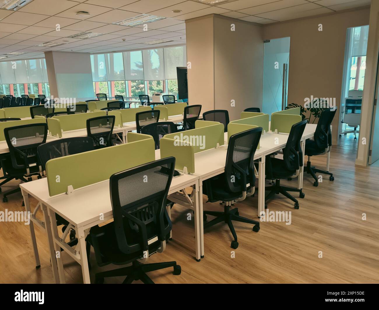 Empty workplace at modern office with small green cubicle separating ...