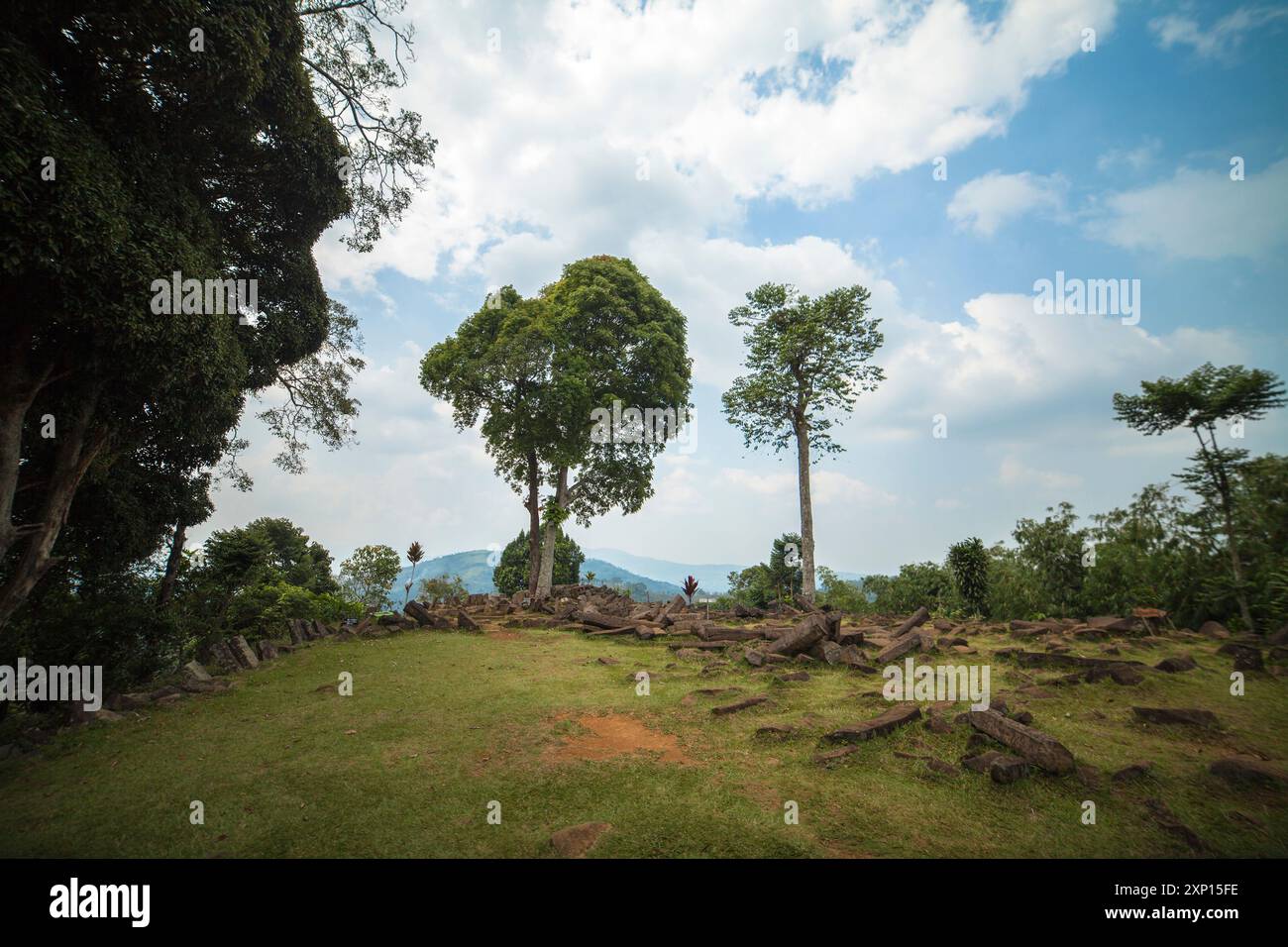 Tree surrounding the megalithic site area, Gunung Padang, West Java ...
