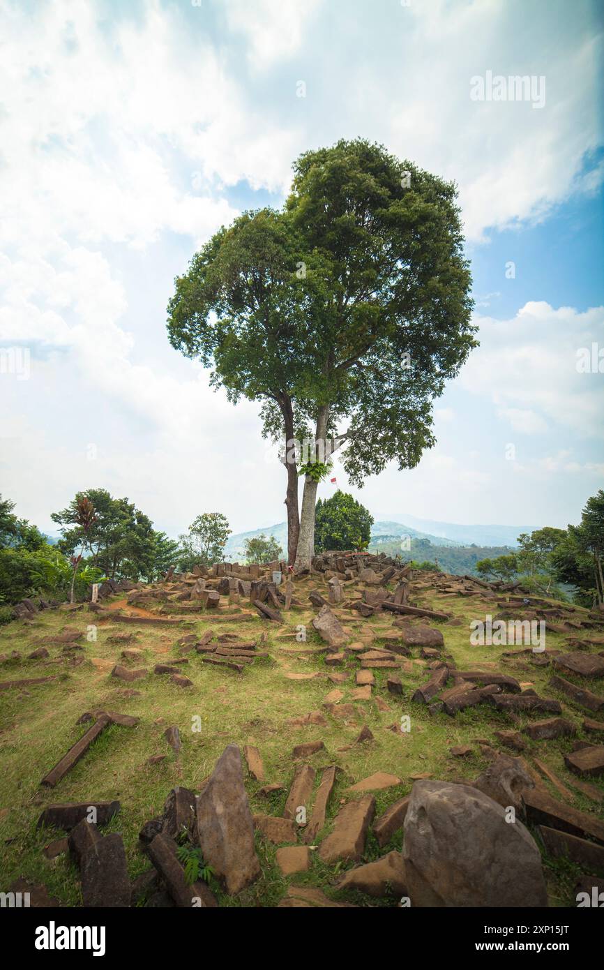 Trees in the megalithic site area, Gunung Padang, West Java, Indonesia ...