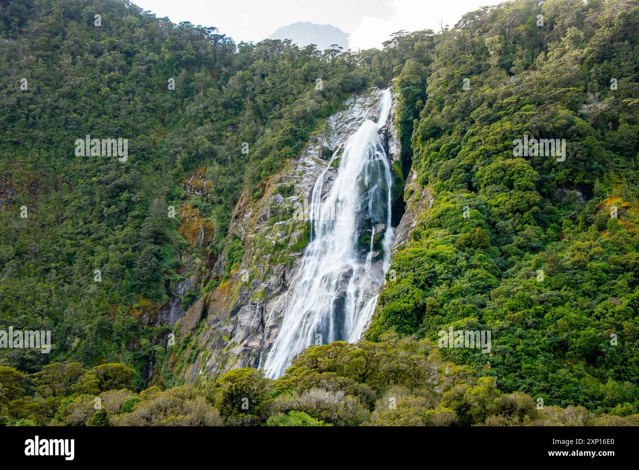 Bowen Falls in Milford Sound - New Zealand Stock Photo - Alamy